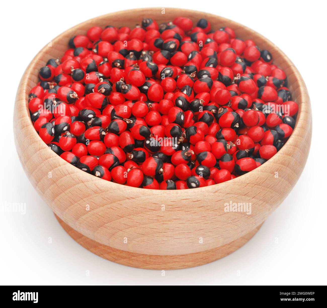 Abrus precatorius or Indian liquorice Seeds over white background Stock ...