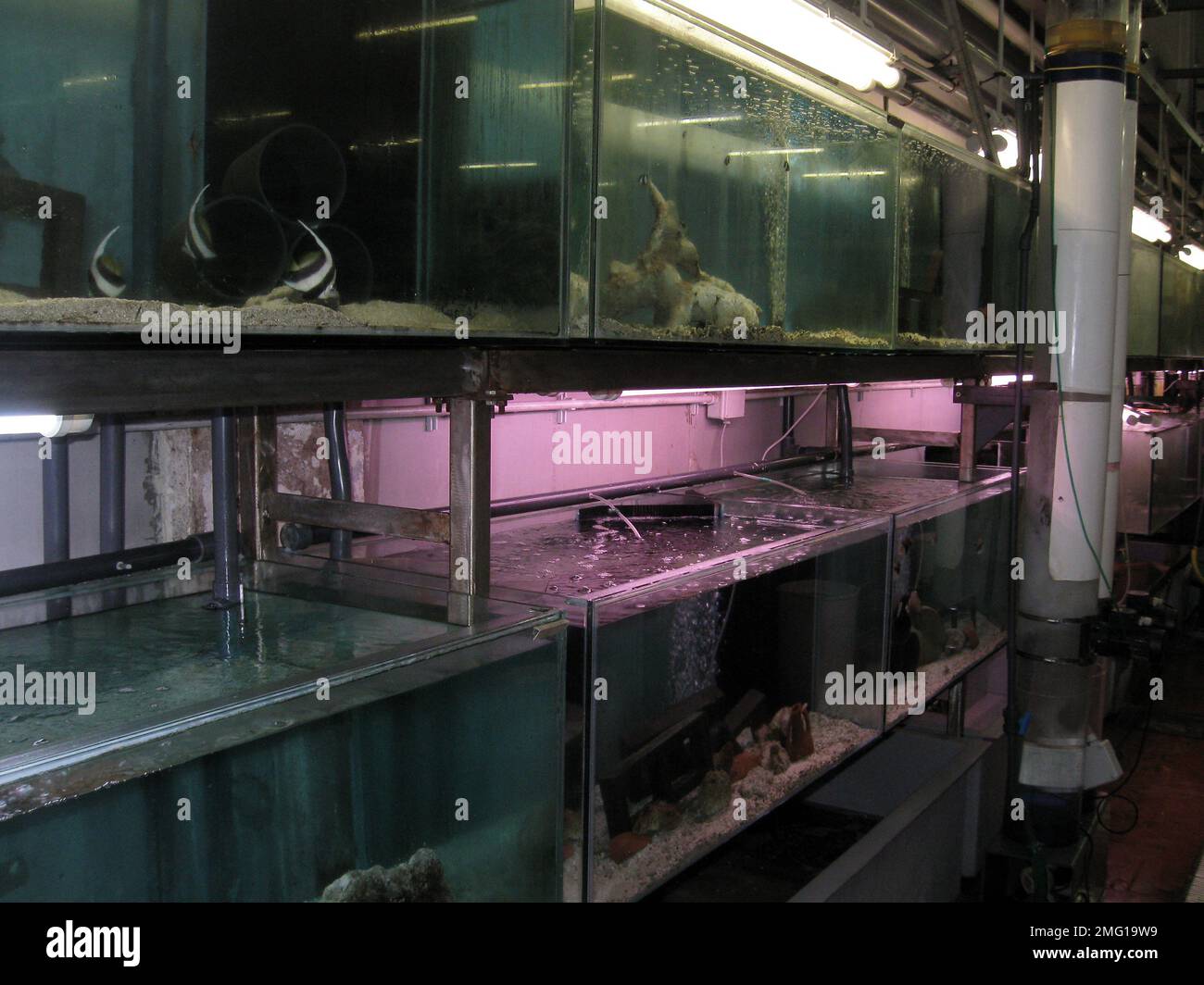 Fish warehouse hi-res stock photography and images - Alamy