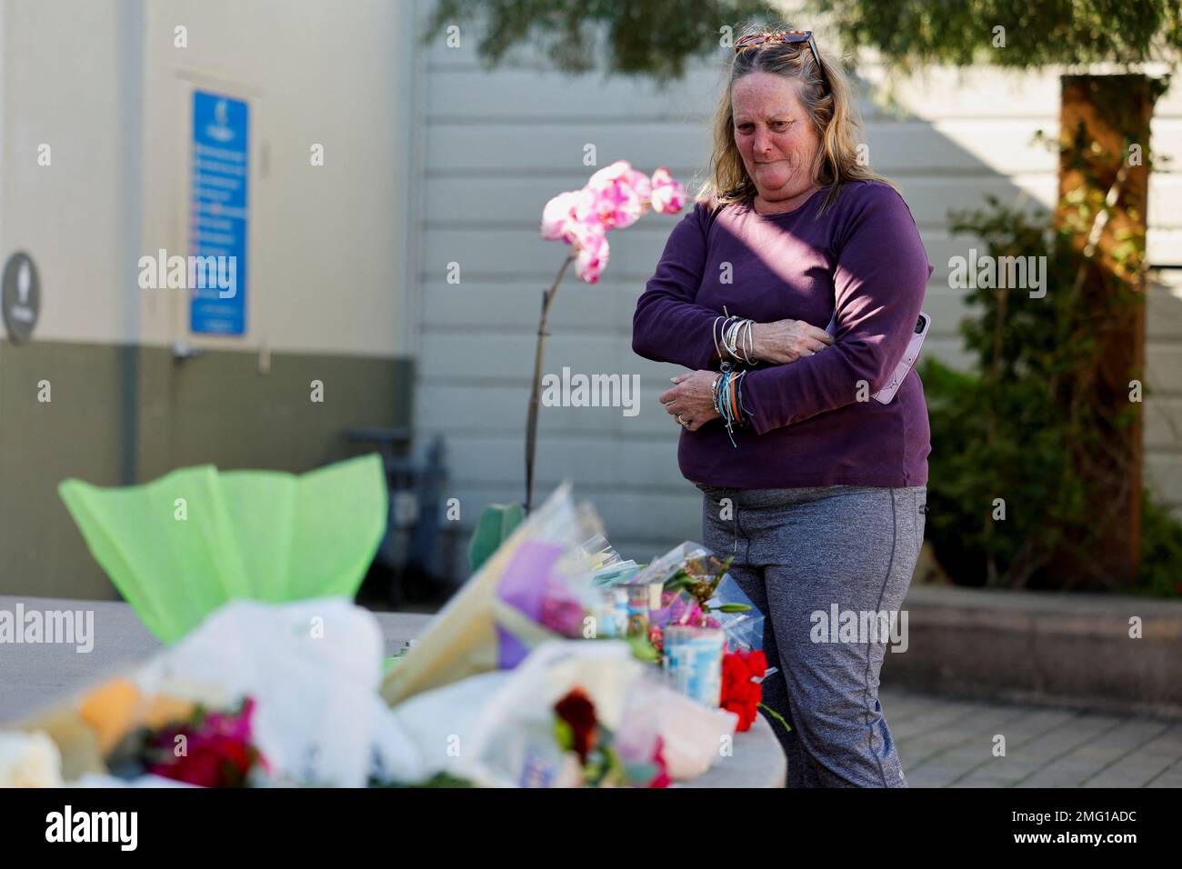 Olander hi-res stock photography and images - Alamy