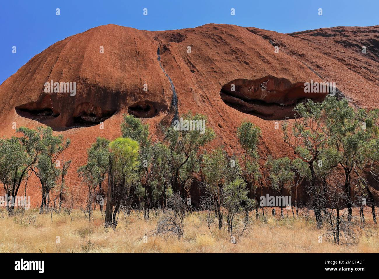 445 Huge cave-holes in the rocky slope of Uluru-Ayers Rock facing the base walk-southeast ...