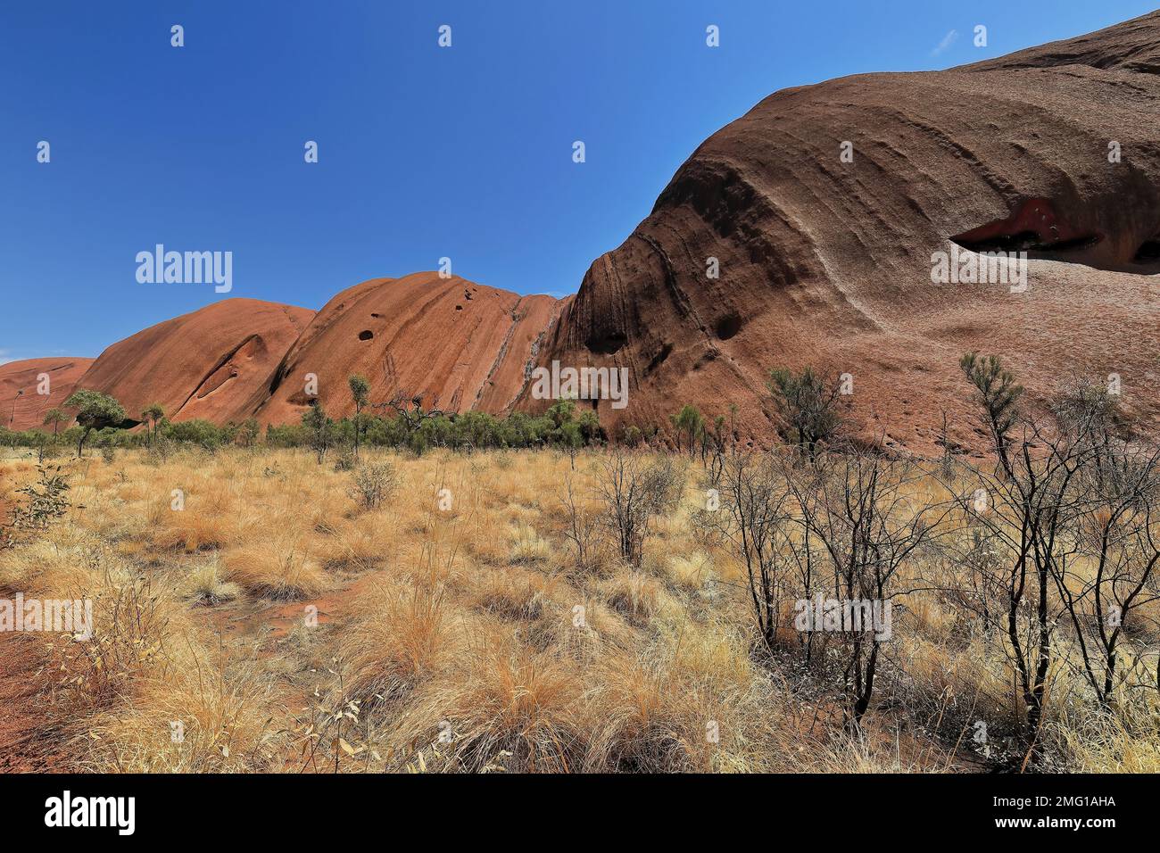 446 Caves-holes-grooves in the ribbed rocky slope of Uluru-Ayers Rock as seen from the base walk ...