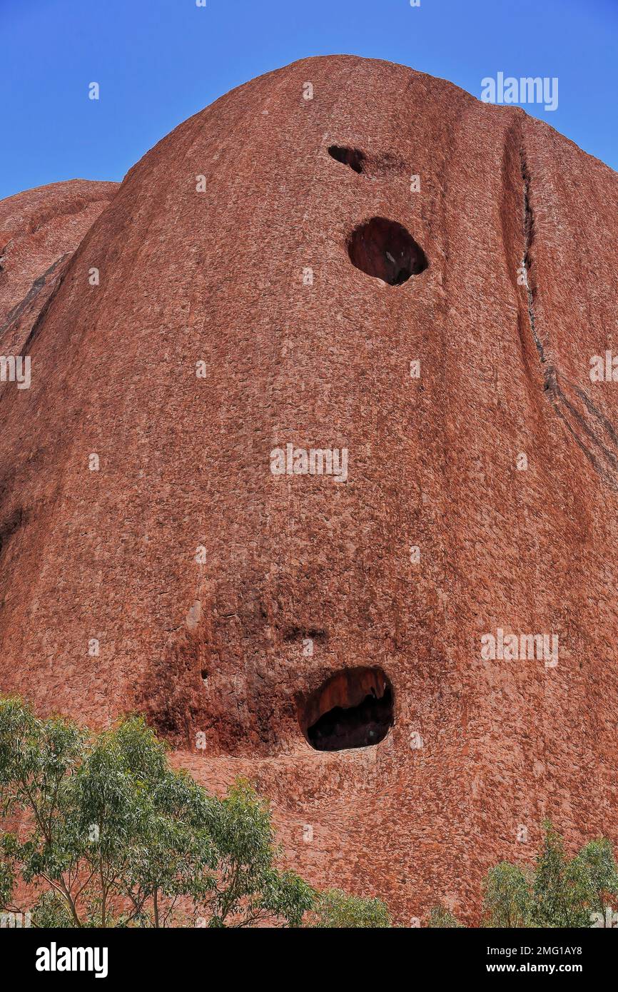 448 Cave-holes in the coarse-grained southeast face of Uluru-Ayers Rock as seen from the base ...