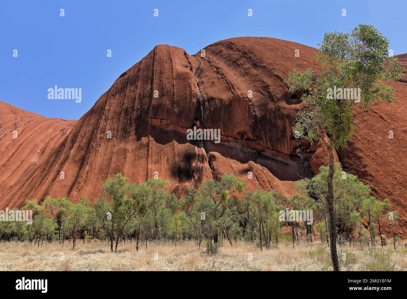 450 Grooves and drainage lines-oblique crack-southeast face of Uluru Ayers Rock as seen from the ...