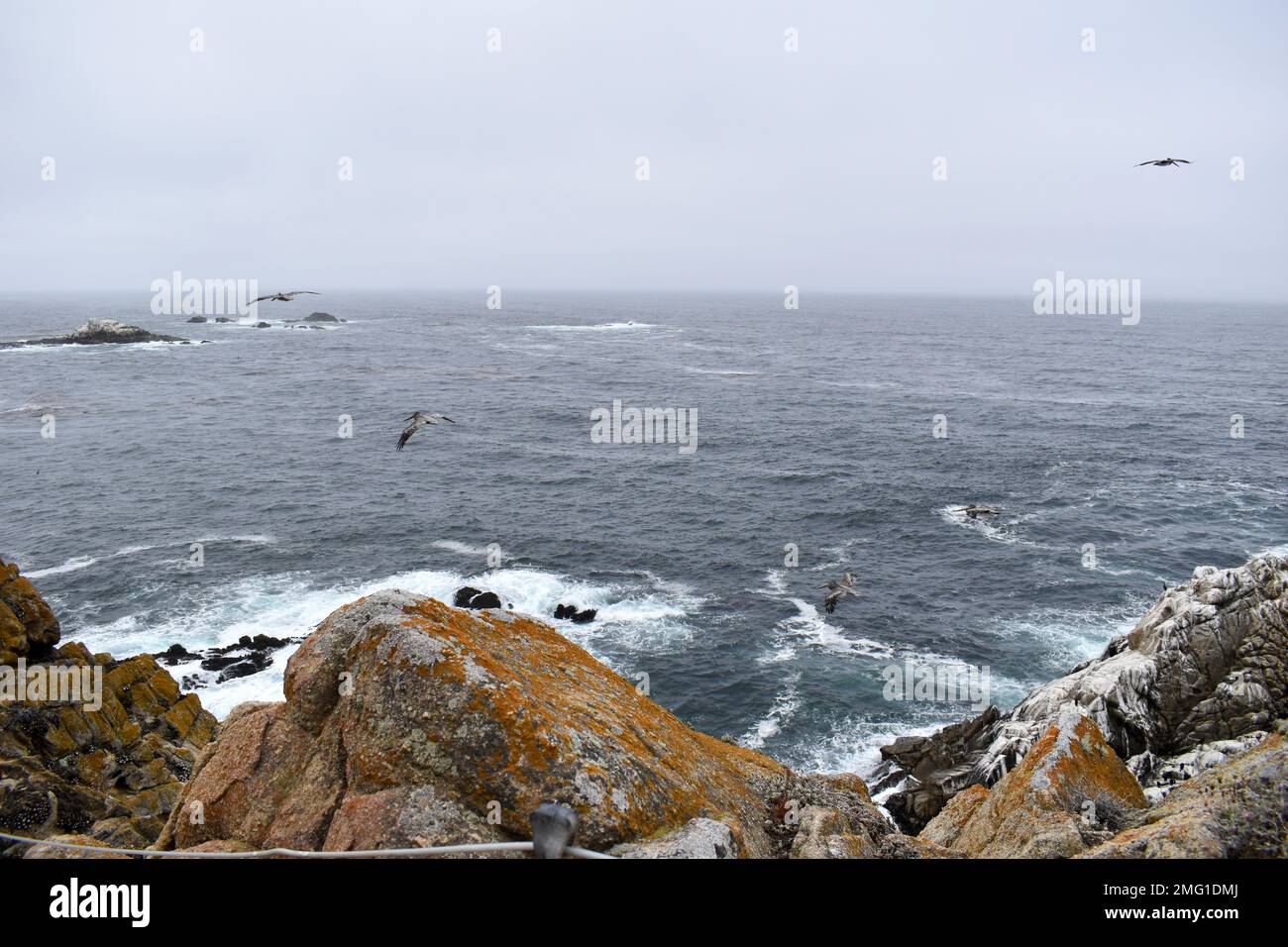 The Pacific Ocean during a Defense Language Institute Foreign Language ... The Pacific Ocean during a Defense Language Institute Foreign Language ...
