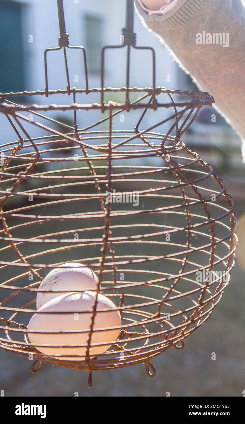 Old rusty wire egg cup hi-res stock photography and images - Alamy