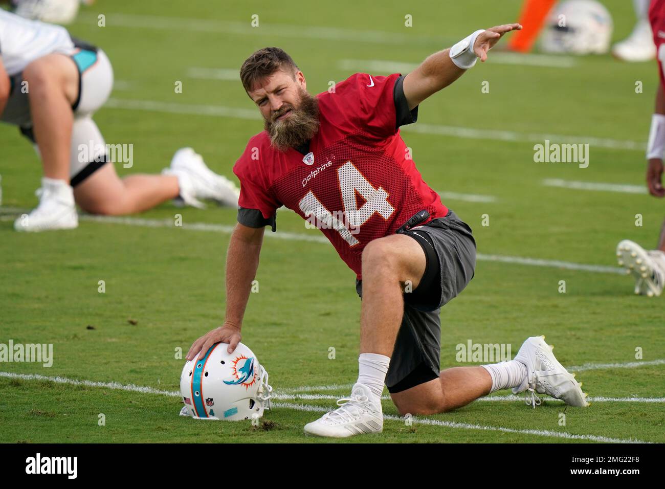 Miami Dolphins quarterback Ryan Fitzpatrick (14) stretches during ...