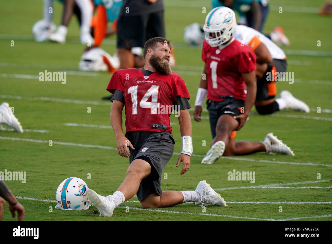 Miami Dolphins quarterbacks Ryan Fitzpatrick (14) and Tua Tagovailoa (1 ...