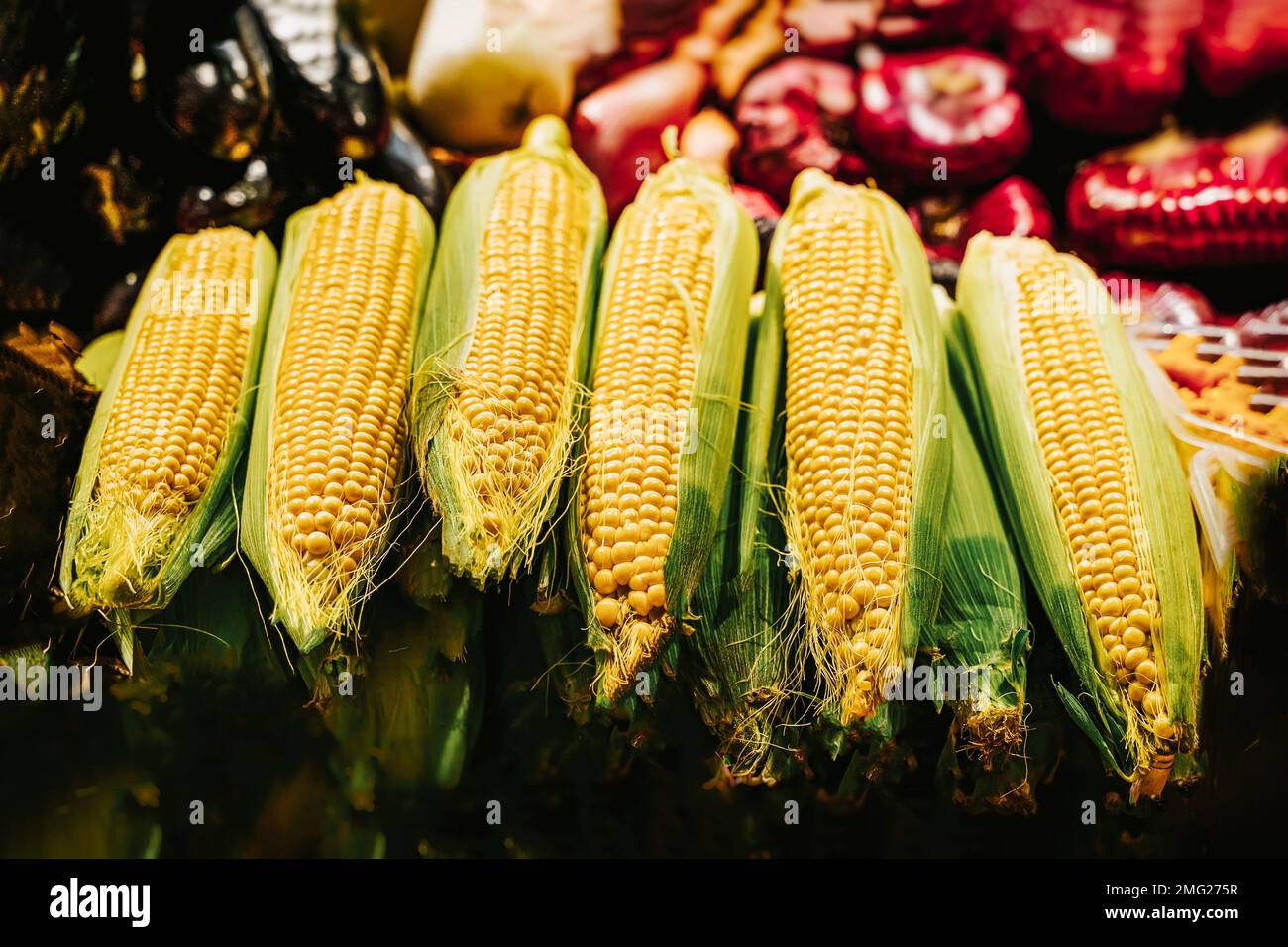 Corn Displays Corn Flower Glass: New Life For A Canadian Icon In The
