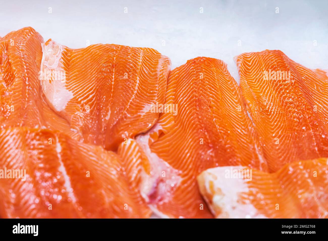 Fresh Salmon Fillets on Ice close up, top view. Seafood concept Stock ...