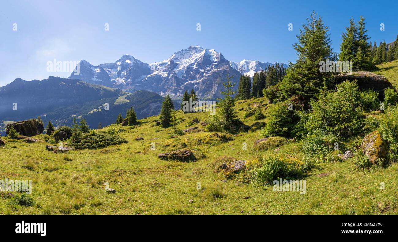 The panorma of Bernese alps with the Jungfrau, Monch and Eiger peaks ...