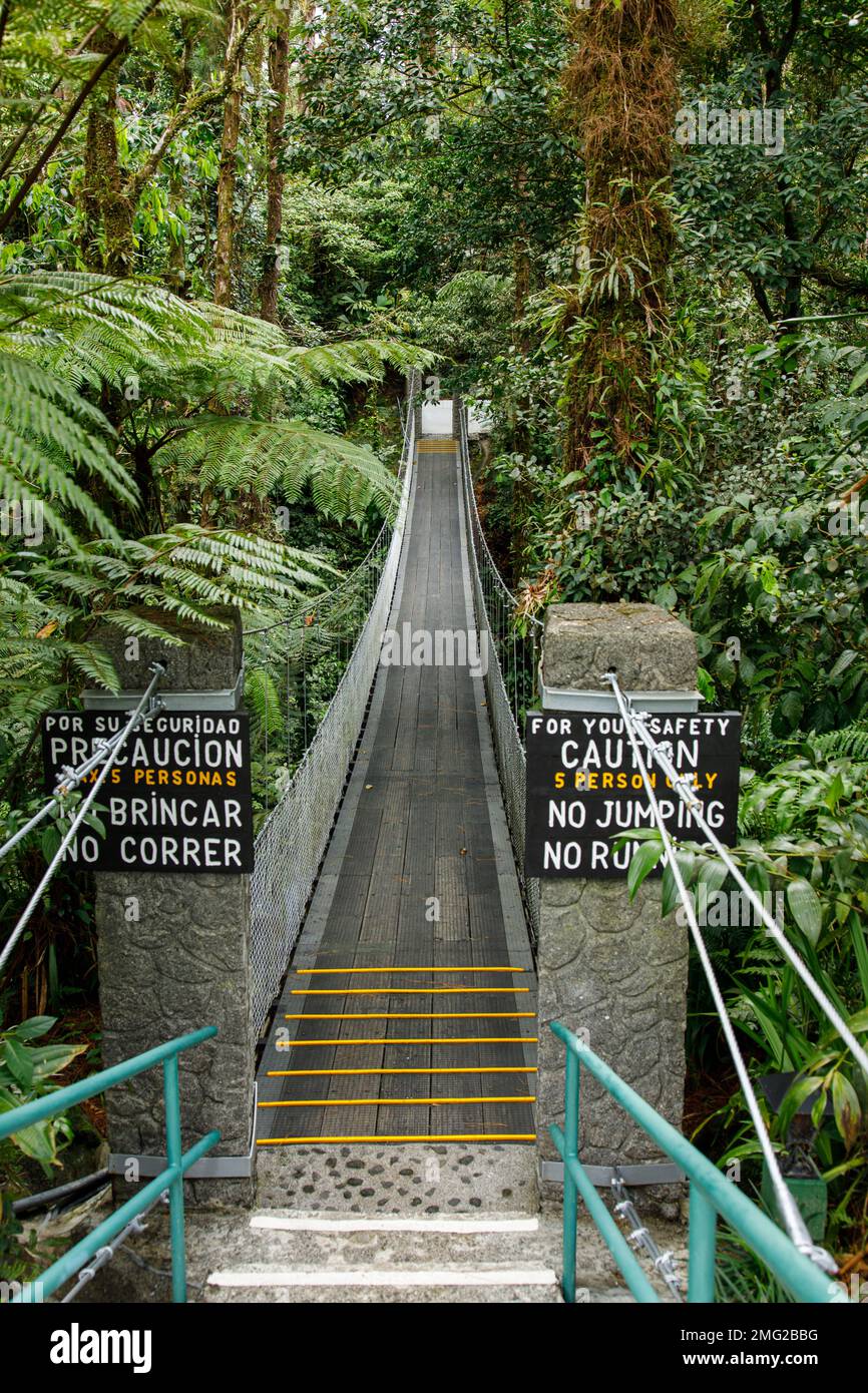 Hanging bridge the "Spider Bridge" at the Arenal Observatory Lodge ...