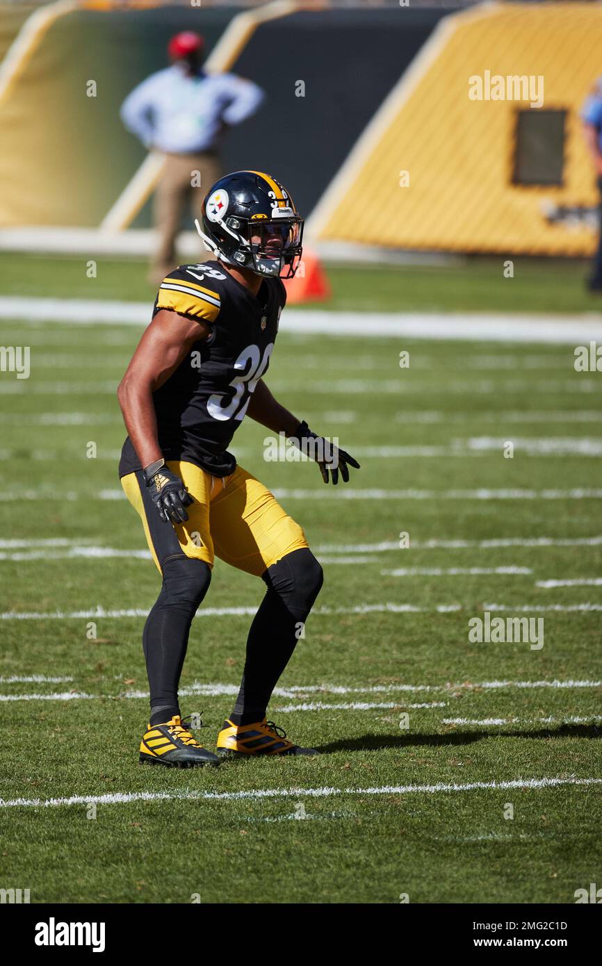 Pittsburgh Steelers safety Minkah Fitzpatrick (39) in action against ...