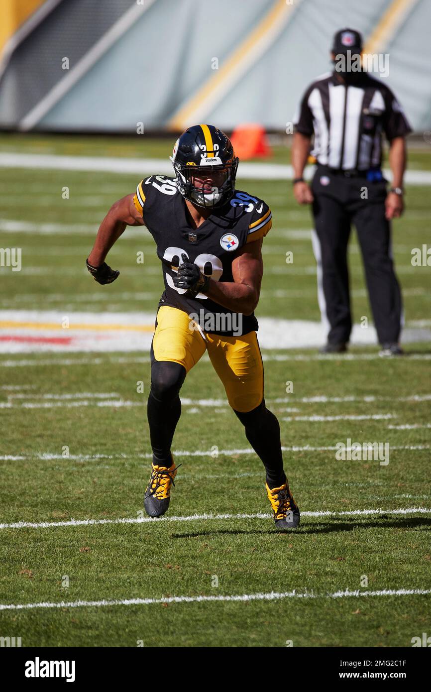 Pittsburgh Steelers safety Minkah Fitzpatrick (39) in action against ...