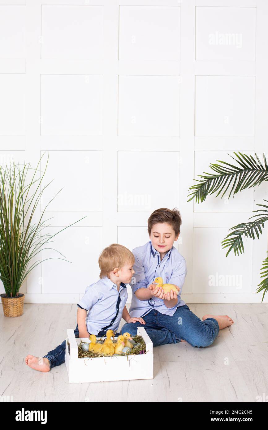 Cute children, boy brothers, playing with ducks Stock Photo - Alamy
