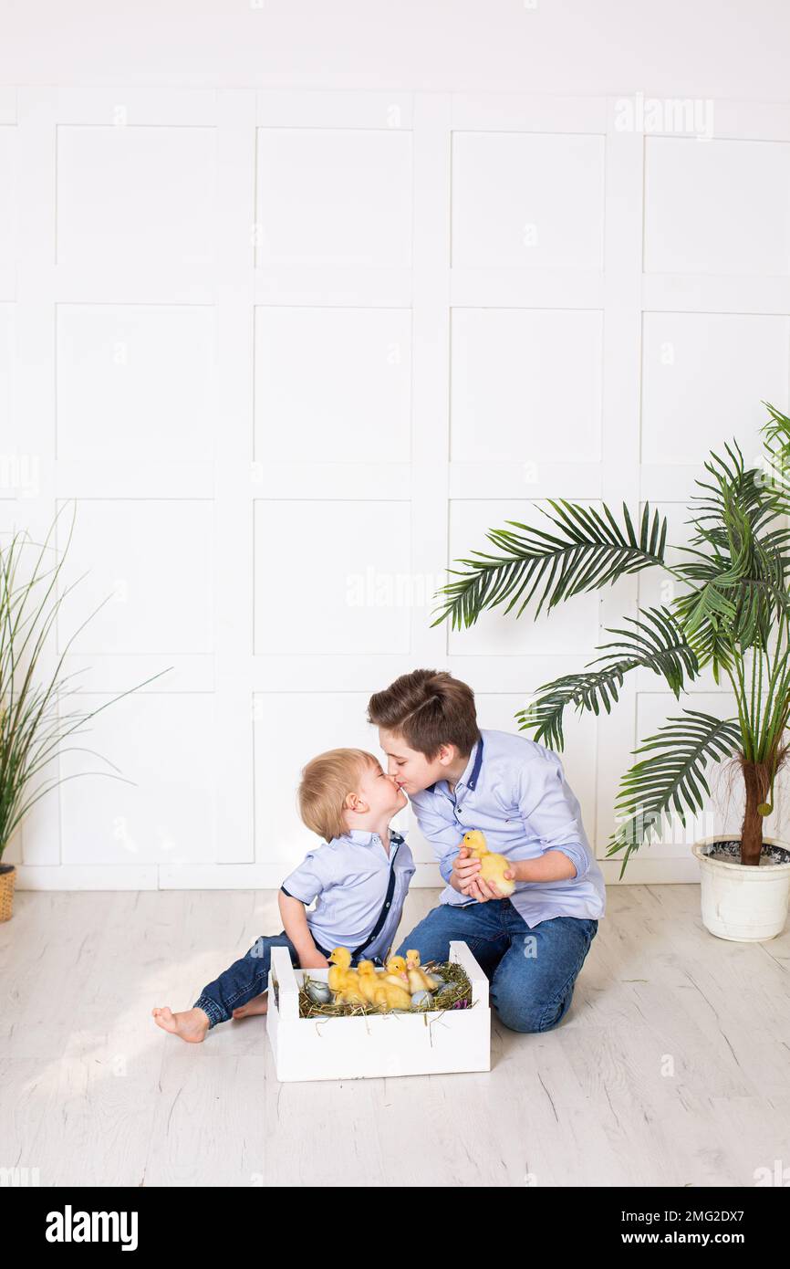 Cute children, boy brothers, playing with ducks Stock Photo - Alamy