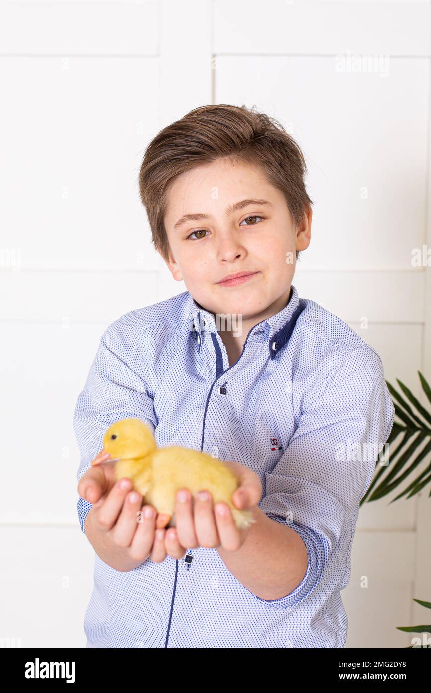 Cute children, boy, playing with ducks Stock Photo - Alamy