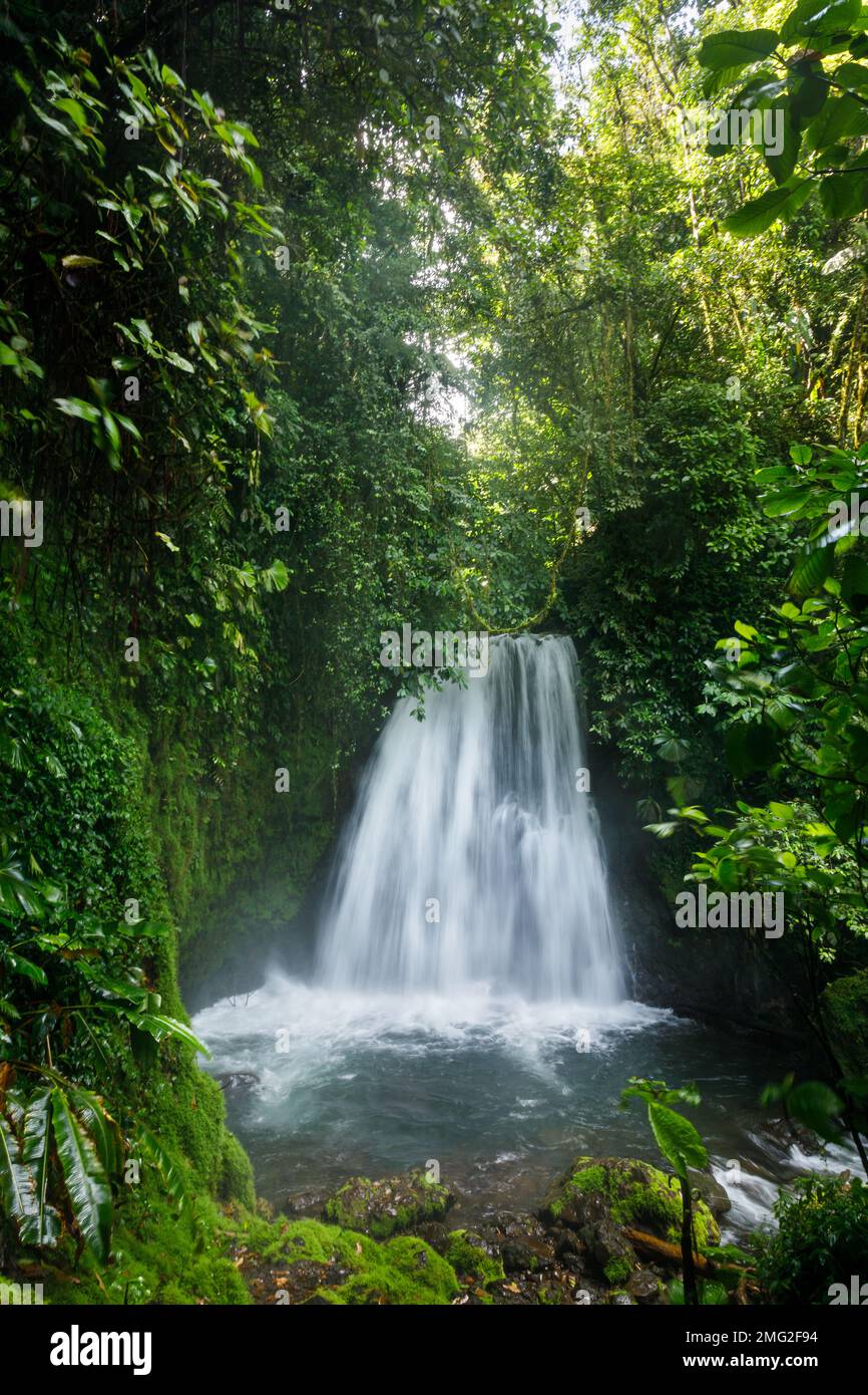 Danta waterfall arenal hi-res stock photography and images - Alamy
