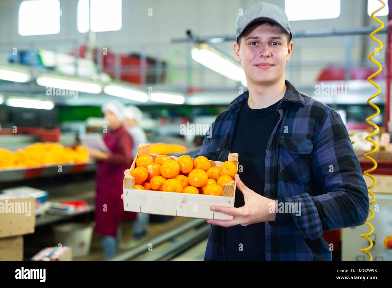 Smiling young worker with box of mandarins at sorting line Stock Photo ...