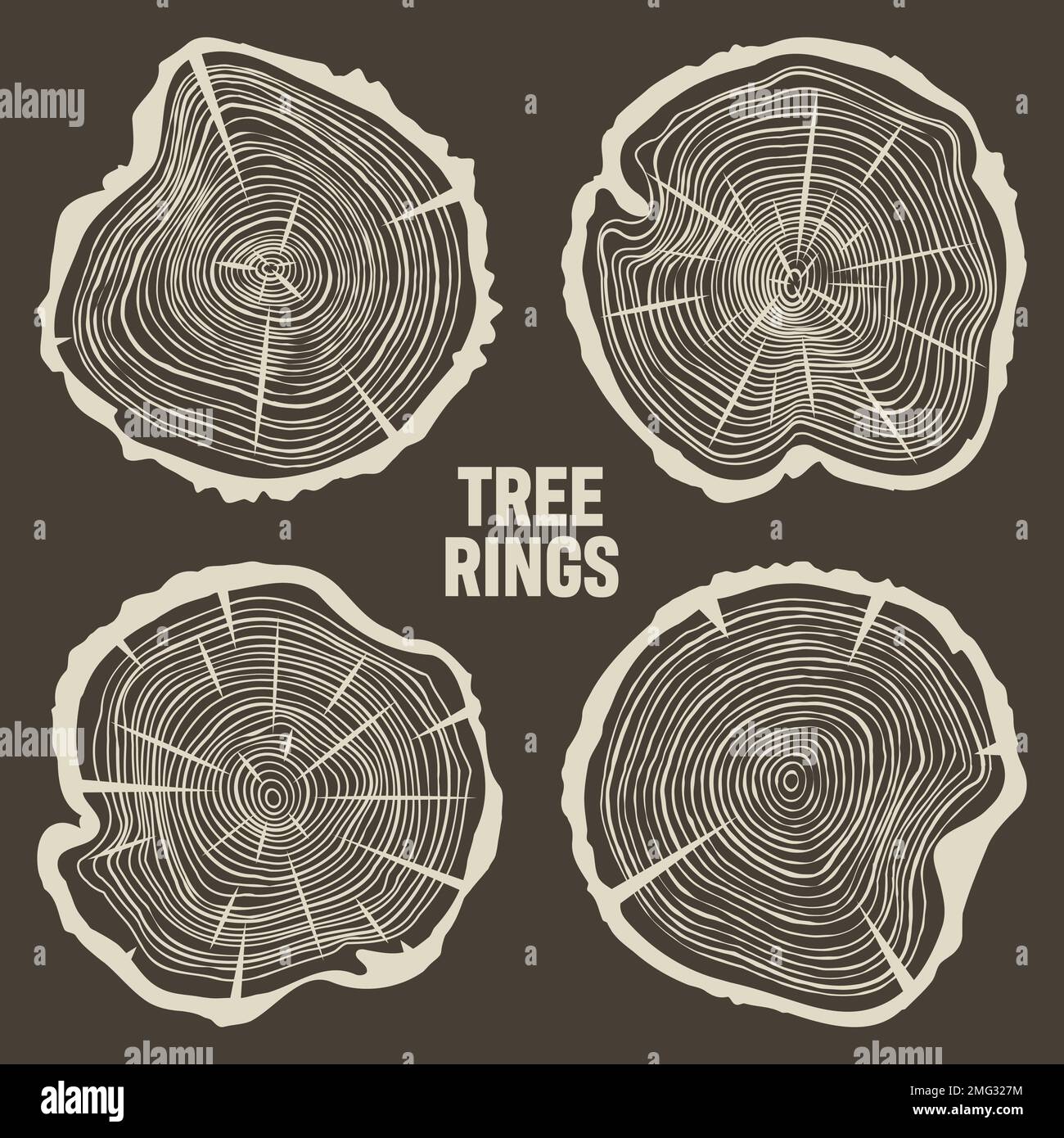 Round tree trunk cuts with cracks, sawn pine or oak slices, lumber. Saw ...