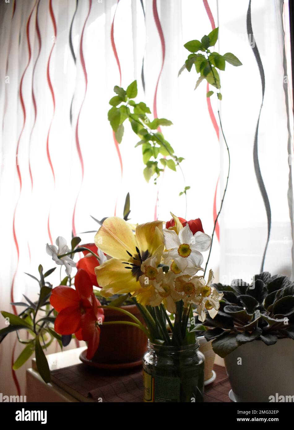 Beautiful colorful flowers in a living room in front of beautiful white ...