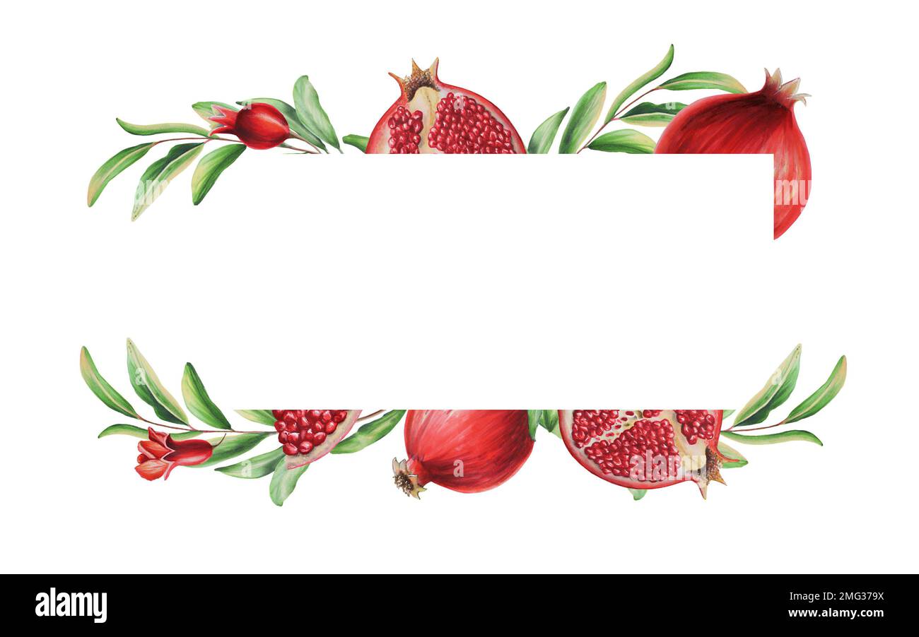Watercolor pomegranate frame on a branch. Ripe slice, flowers and seeds ...