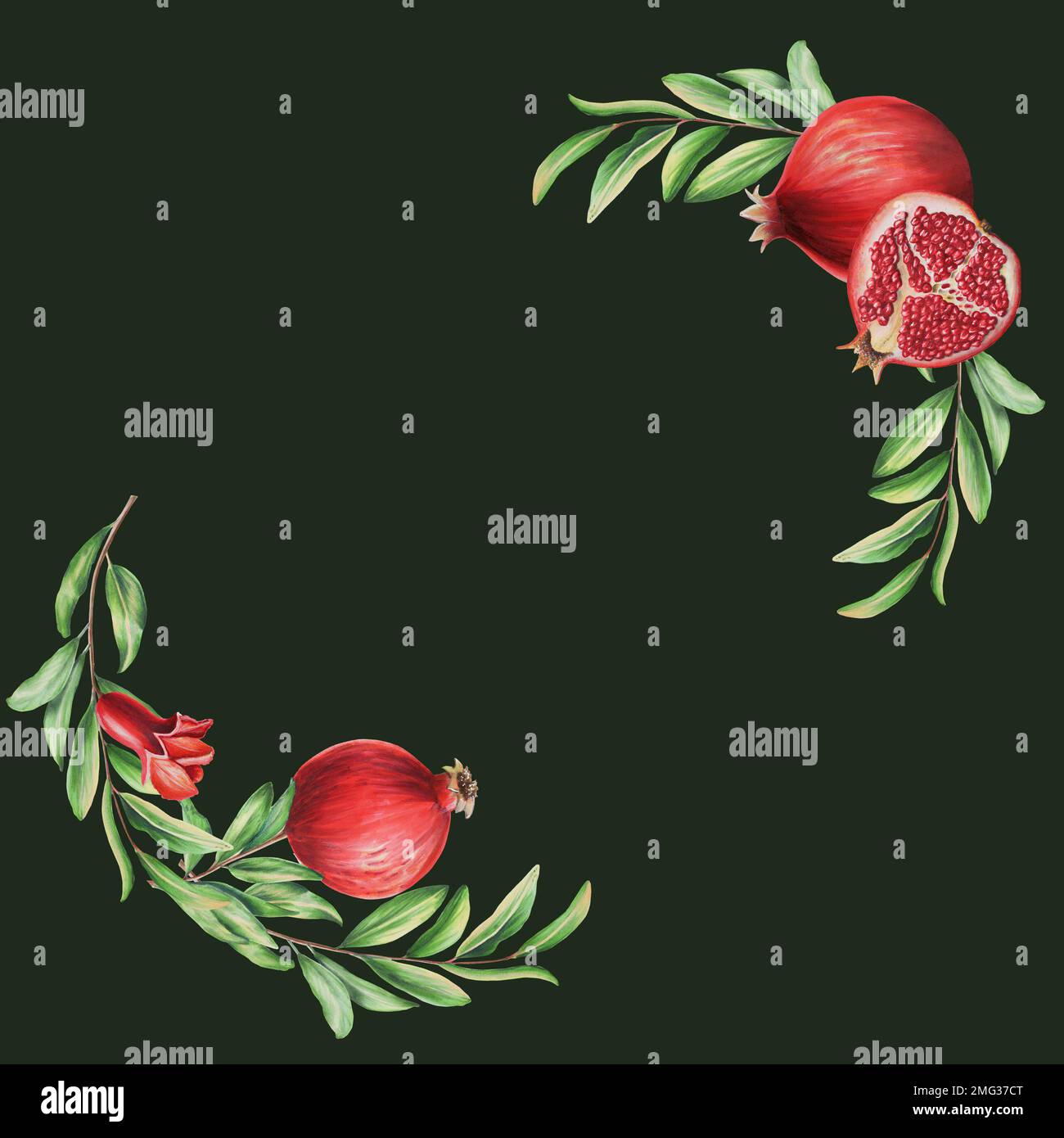 Watercolor pomegranate frame with a branch. Ripe slice, flowers and ...