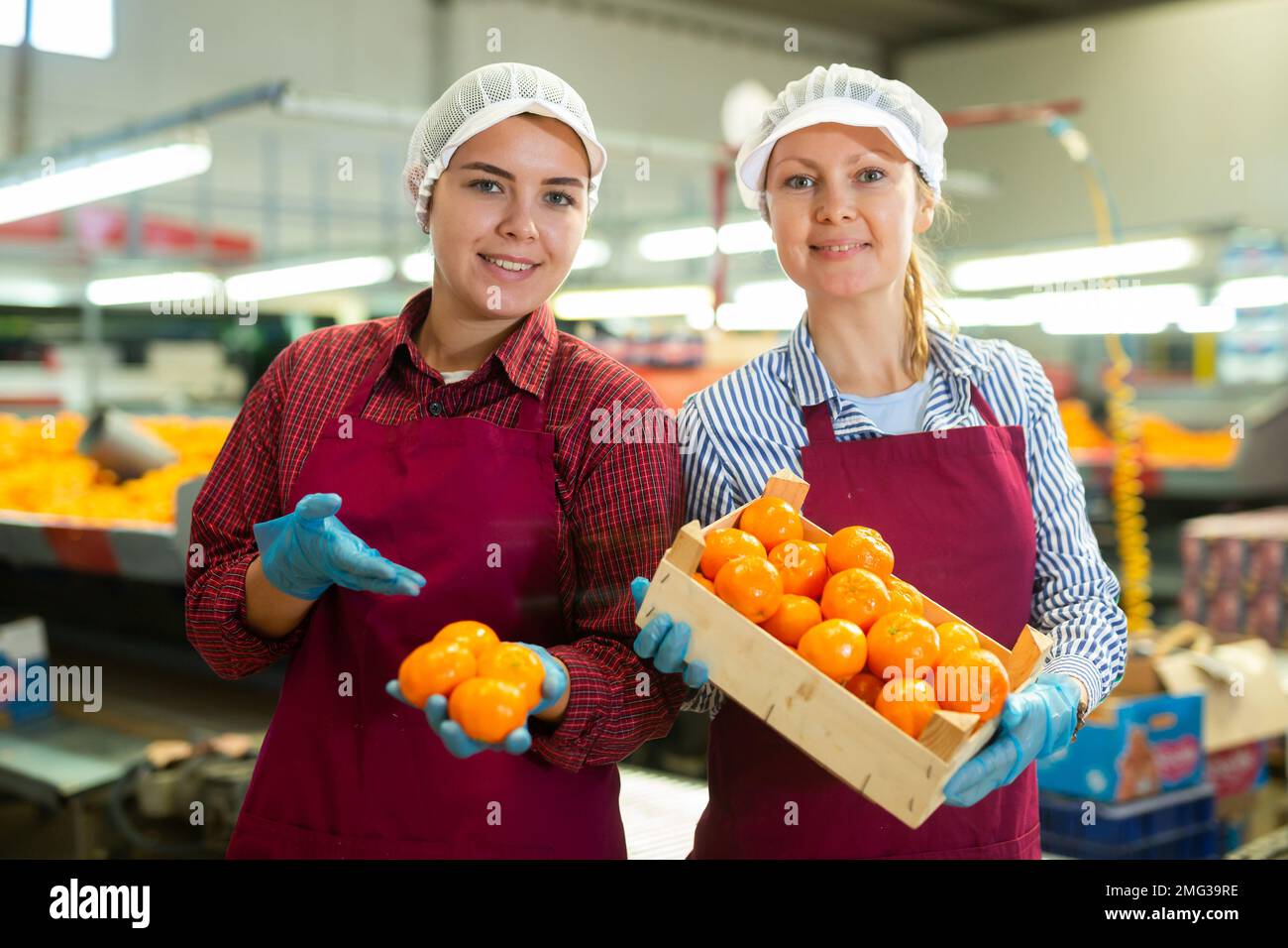 Cheerful female workmates standing in sorting workshop with mandarins ...
