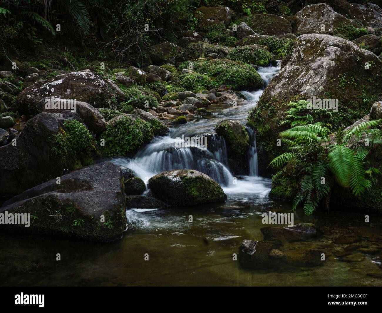 Moss covered natural waterslide rockpools Cleopatras Pool at Torrent ...