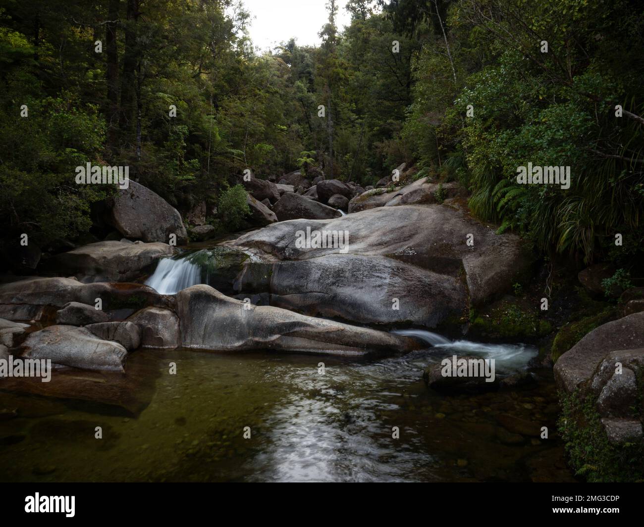 Moss covered natural waterslide rockpools Cleopatras Pool at Torrent ...