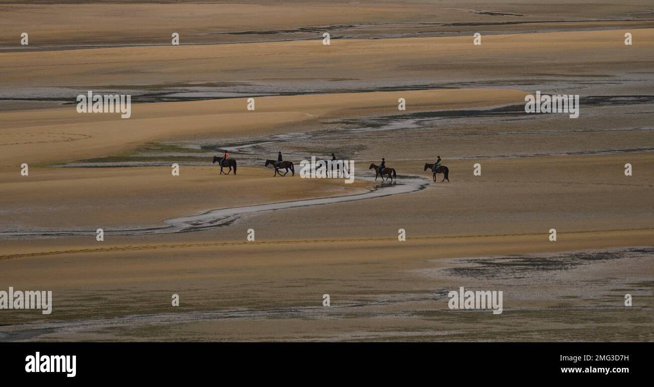 Guided horseback riding on low tide sand bank beach crossing river ...