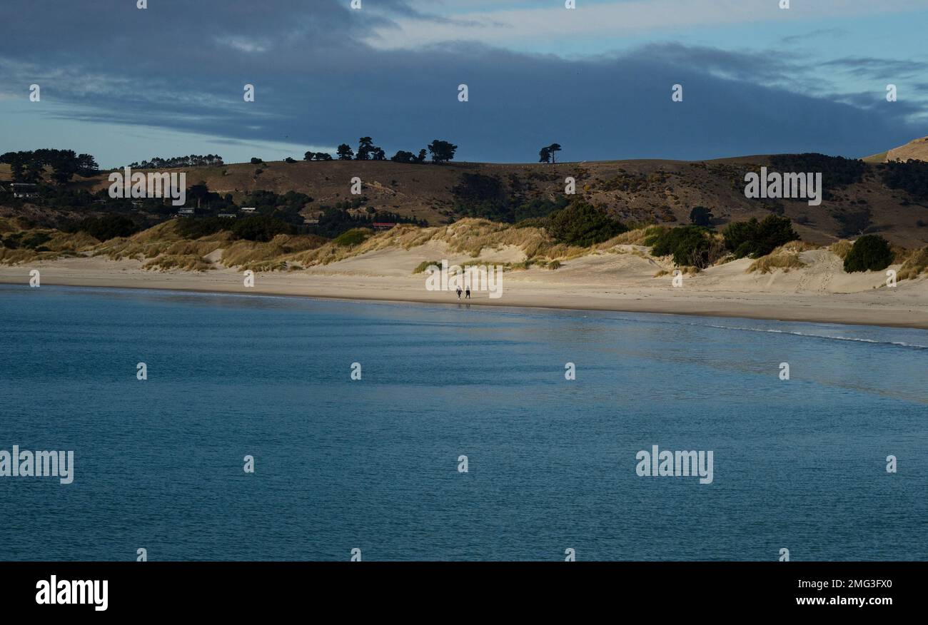 Two people strolling along Aramoana beach coast in front of sand dunes ...