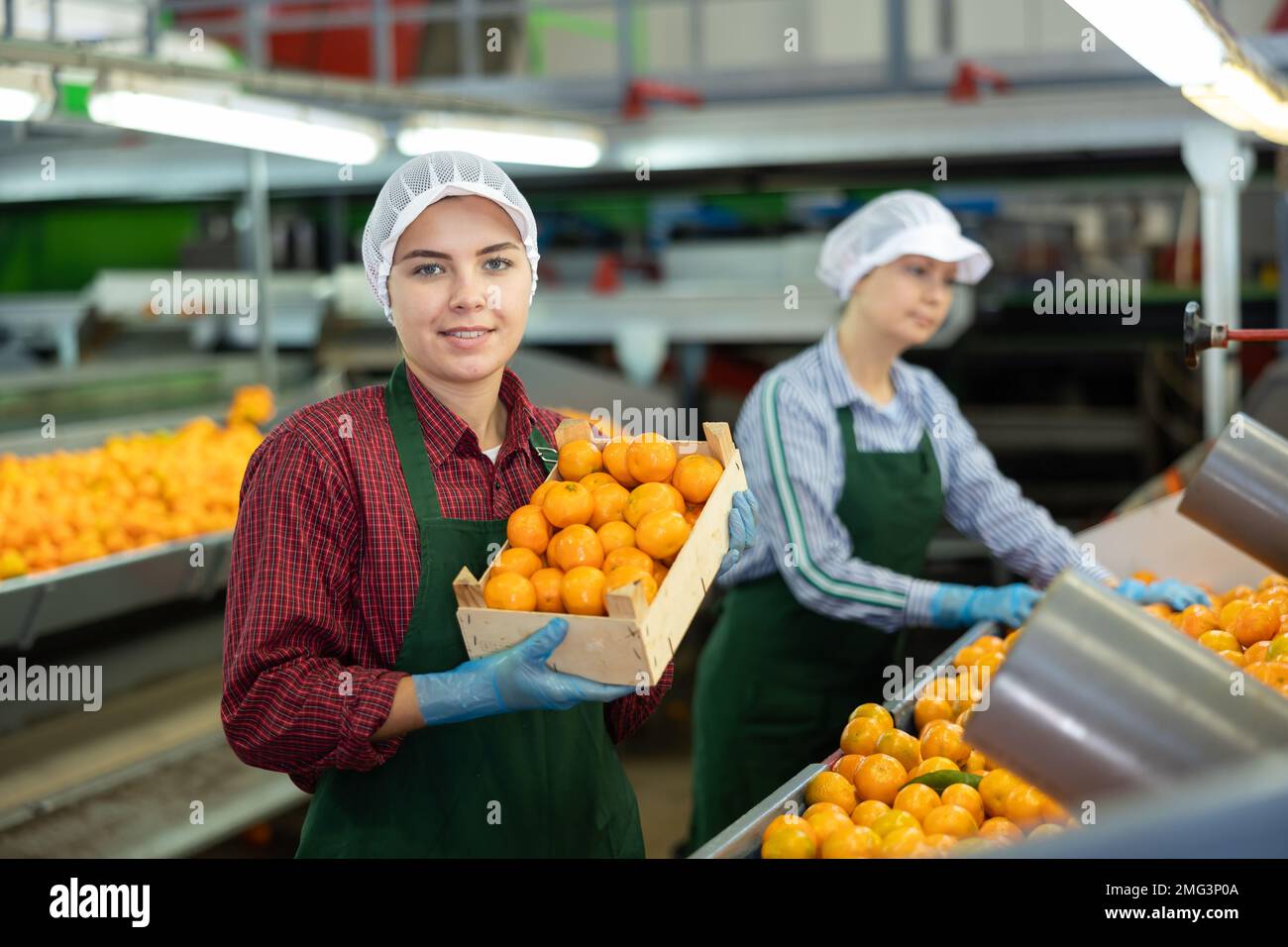 Glad positive female employee in colored uniforms hold a box of fresh ...