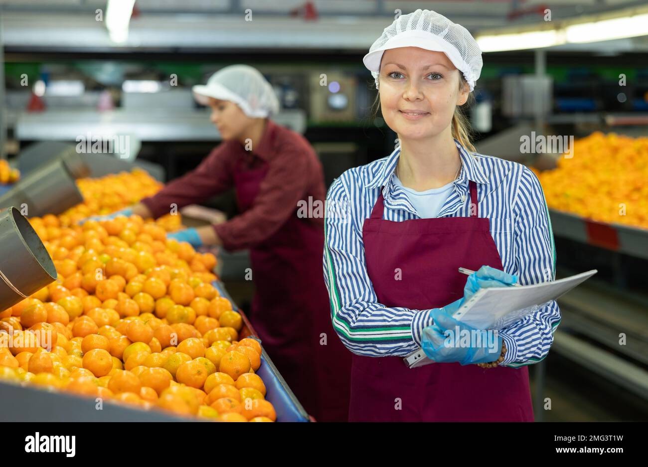 Female shift supervisor with papers inspecting mandarins sorting line ...