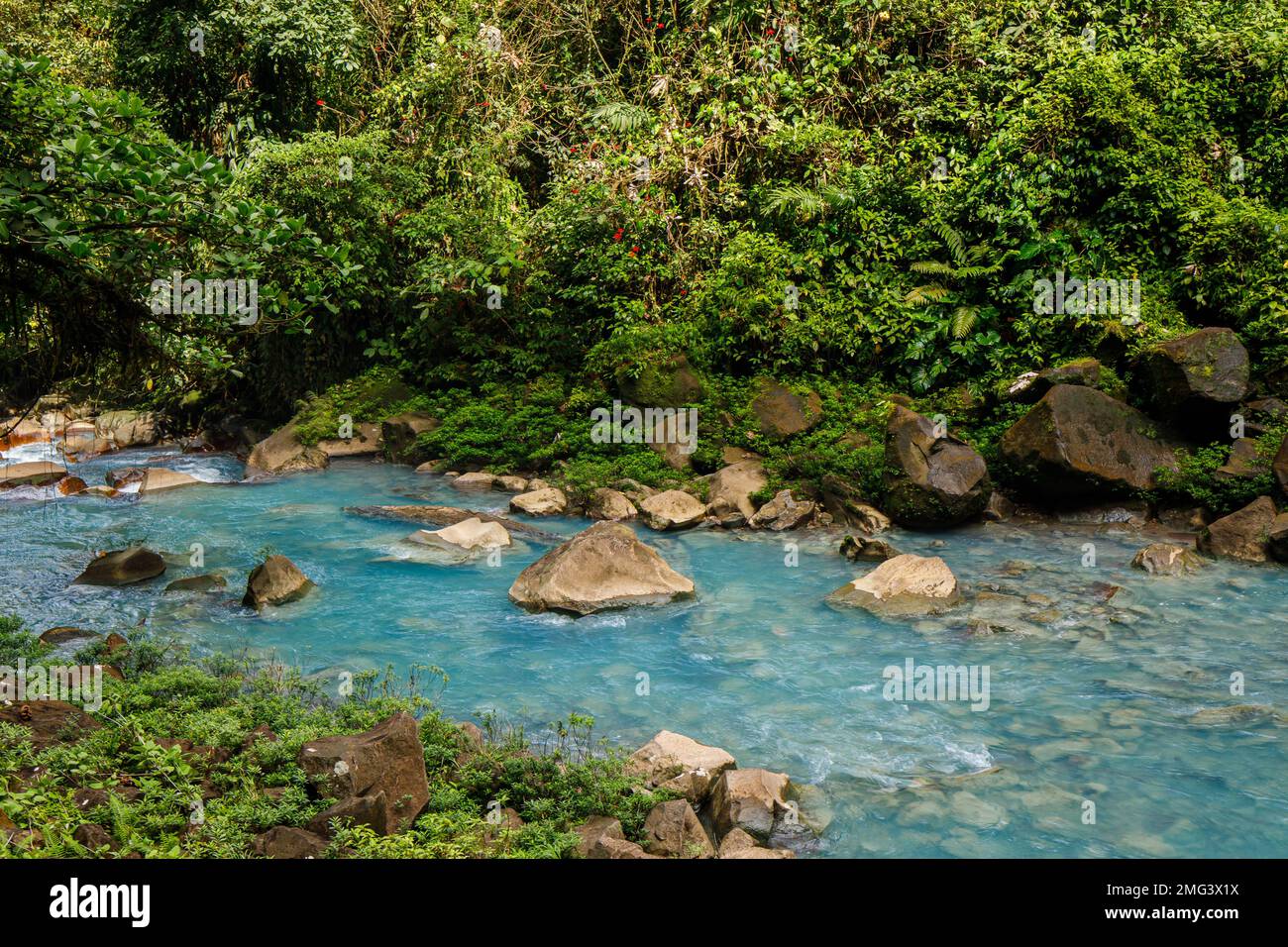The distinctively turquoise colored Rio Celeste (sky blue river) at ...