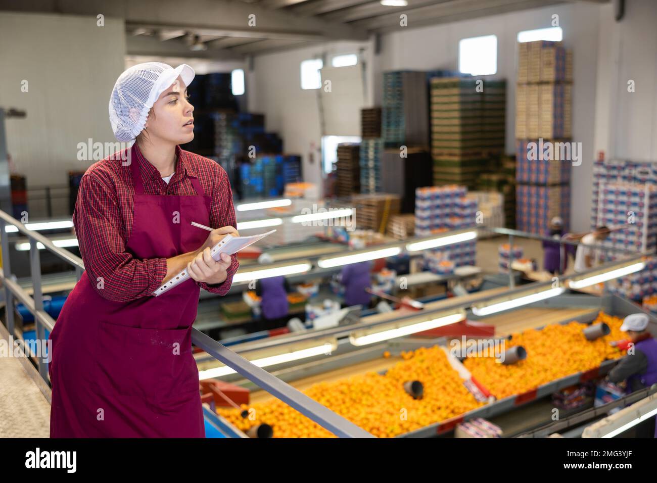 Young female supervisor inspecting workflow of citrus sorting workshop ...