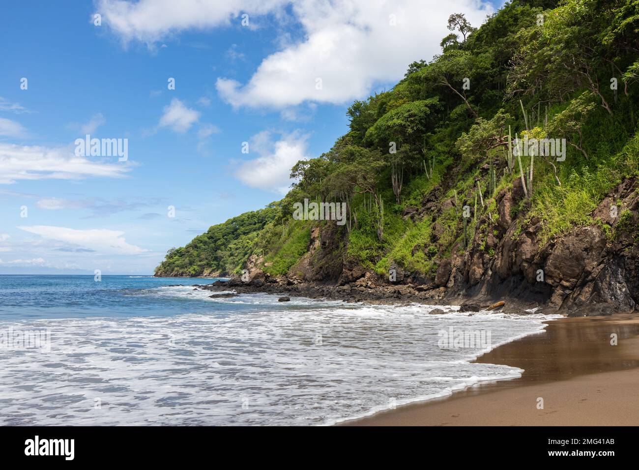 Waves wash on the shore of the vibrant green coast along the Gulf of ...
