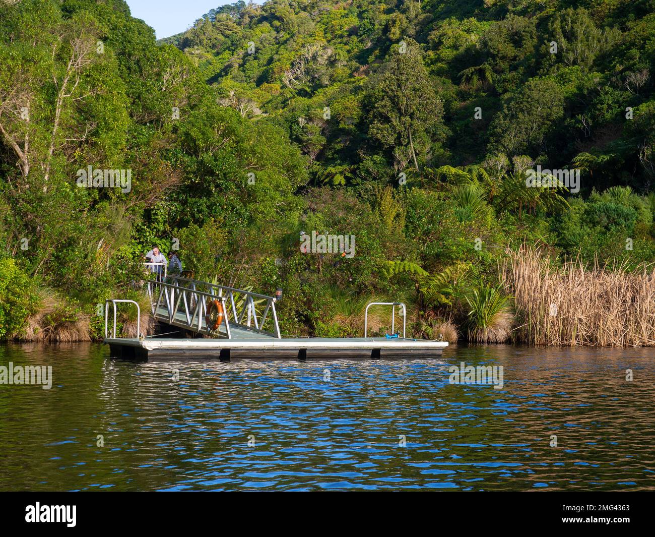Ramp Down To A Pontoon On A Lake Landscape Stock Photo - Alamy