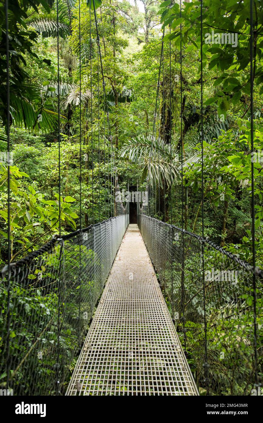 Suspended bridge at Mistico Arenal Hanging Bridges, Alajuela Province ...