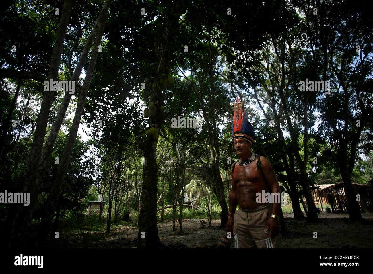 Tenetehara Indigenous Chief Sergio Muxi Tembe prepares for a festival ...