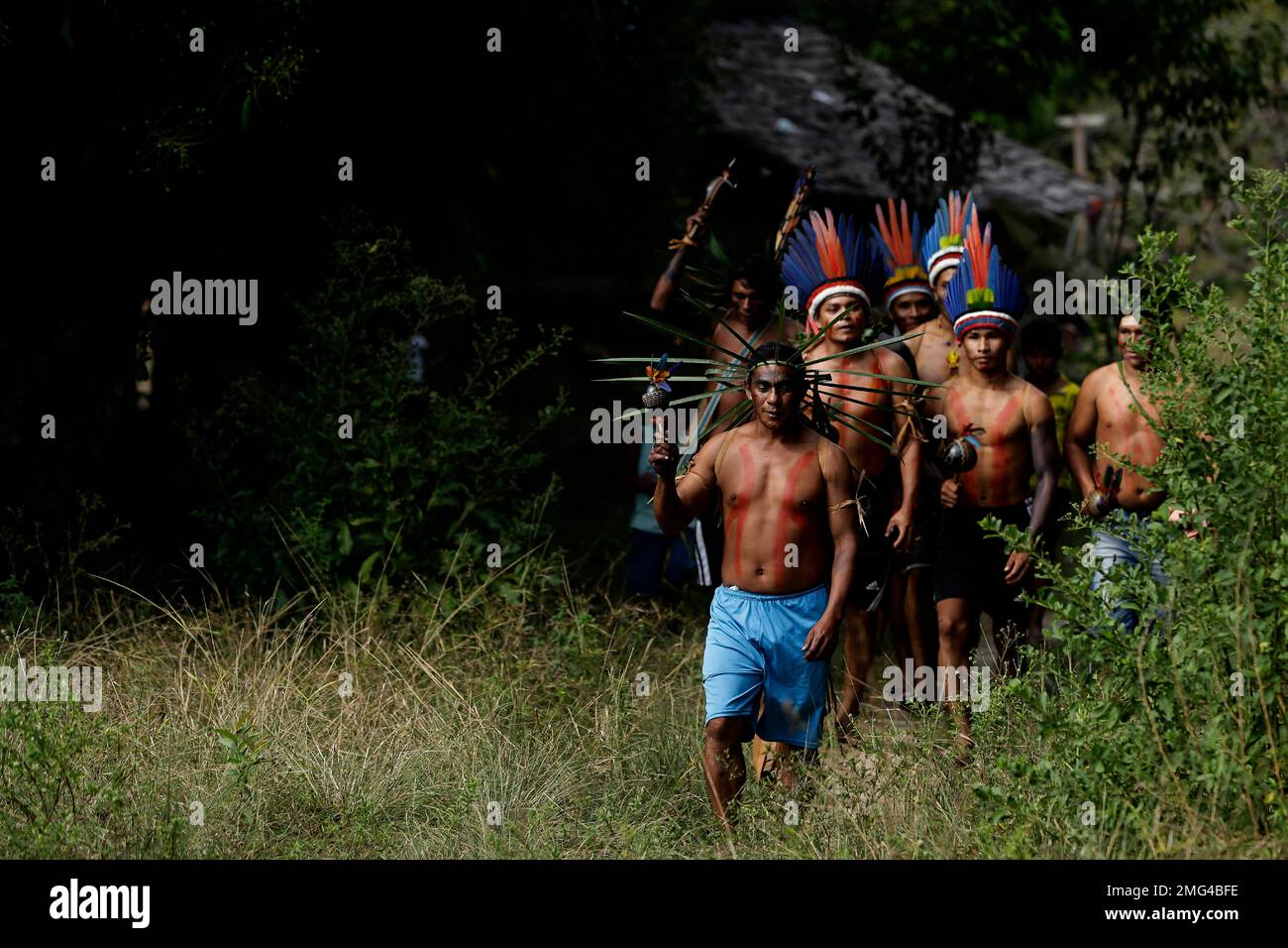 The Tenetehara Indigenous community holds a festival in the Alto Rio ...