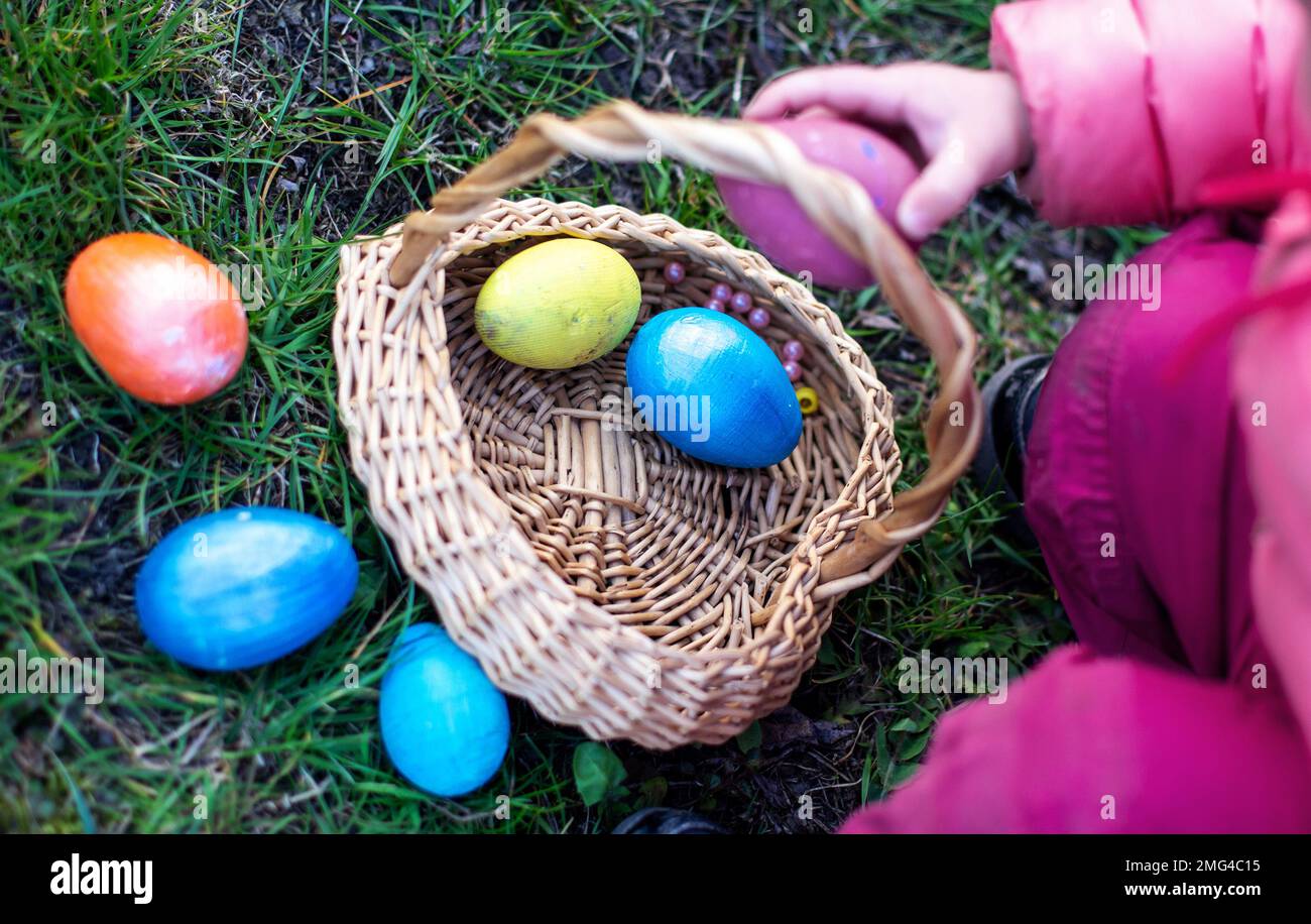 child collects colorful Easter eggs in basket. Easter egg hunt concept ...