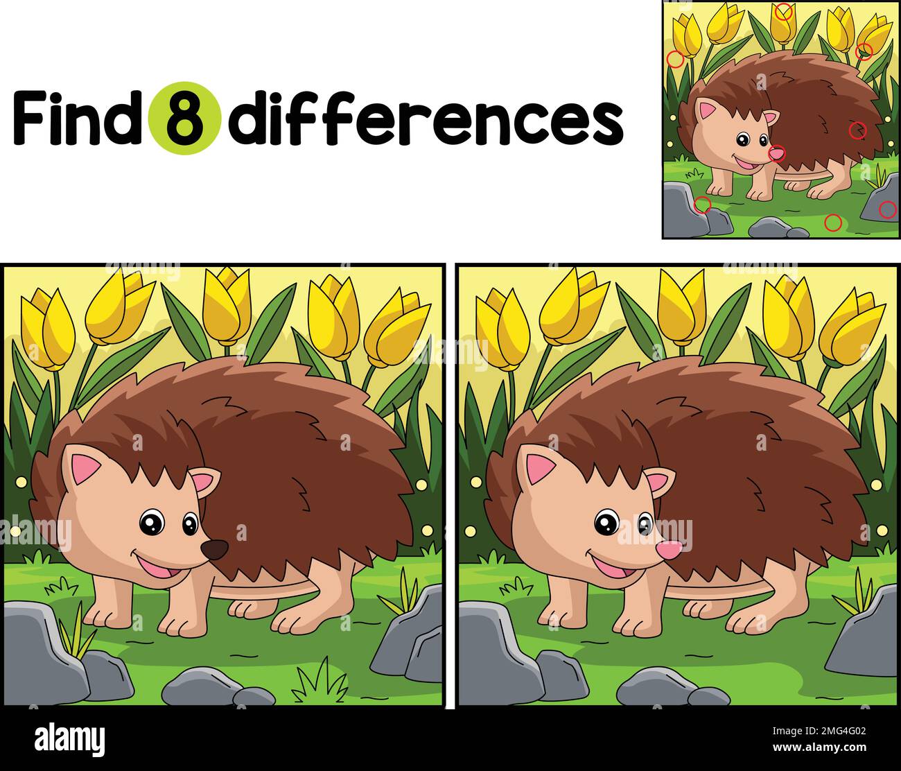 Hedgehog Farm Find The Differences Stock Vector Image & Art - Alamy