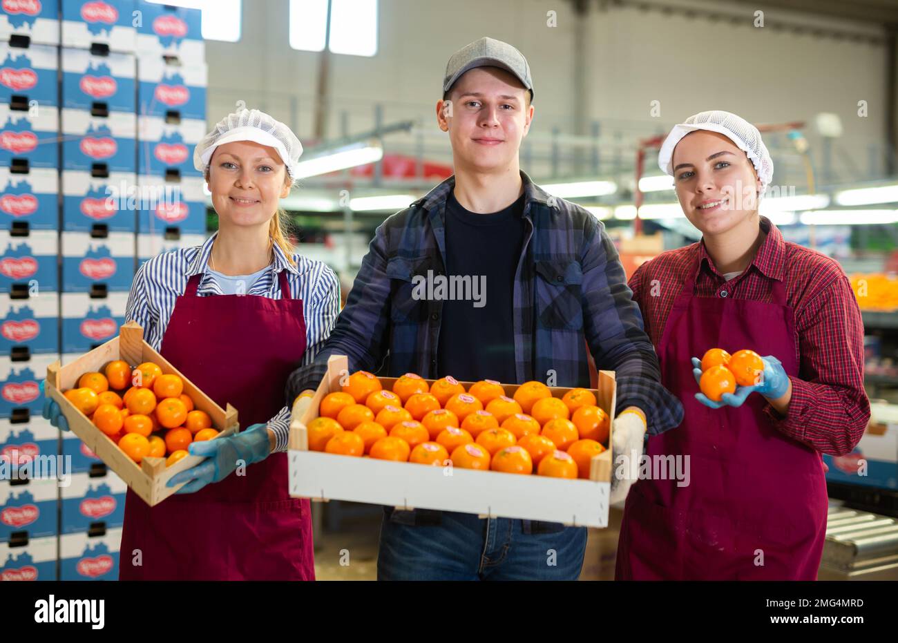 Positive fruit sorting factory workers standing with selected ...