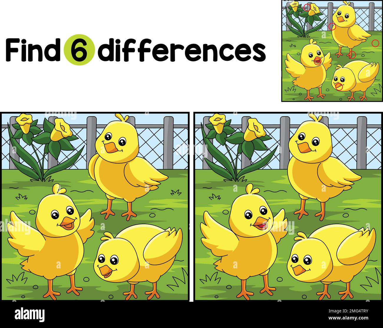 Chicks Farm Find The Differences Stock Vector Image & Art - Alamy