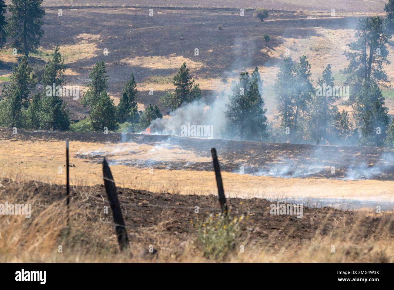 A spot fire left behind by wildfire is shown Tuesday, Sept. 8, 2020, in ...