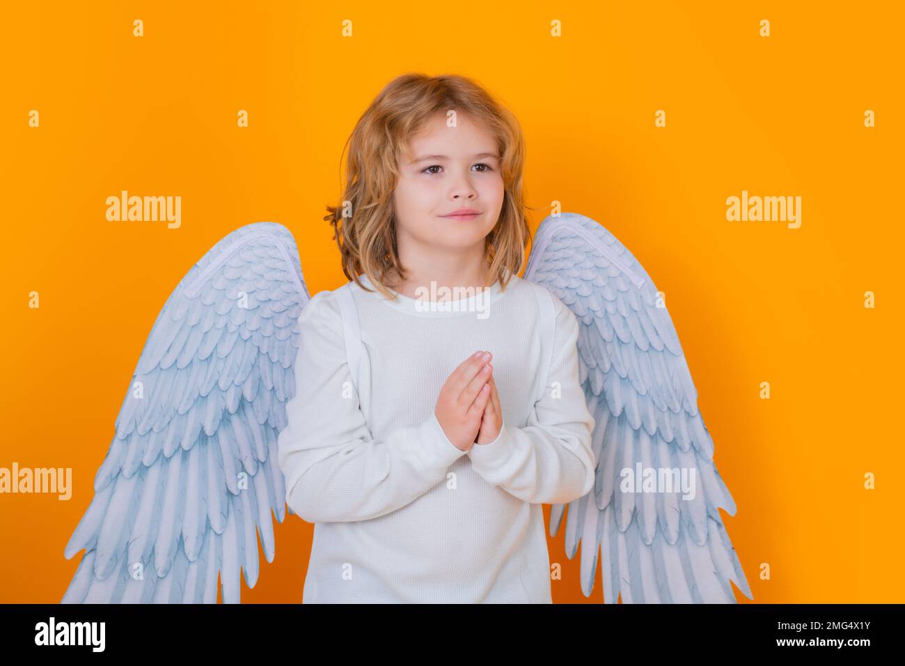 Angel prayer kids. Angel child. Isolated studio shot. Cute kid with ...