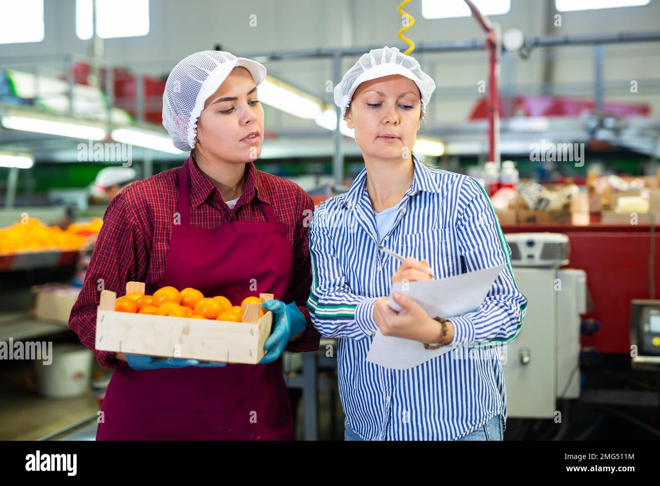 Workers of fruit storage and sorting facility talking about work ...