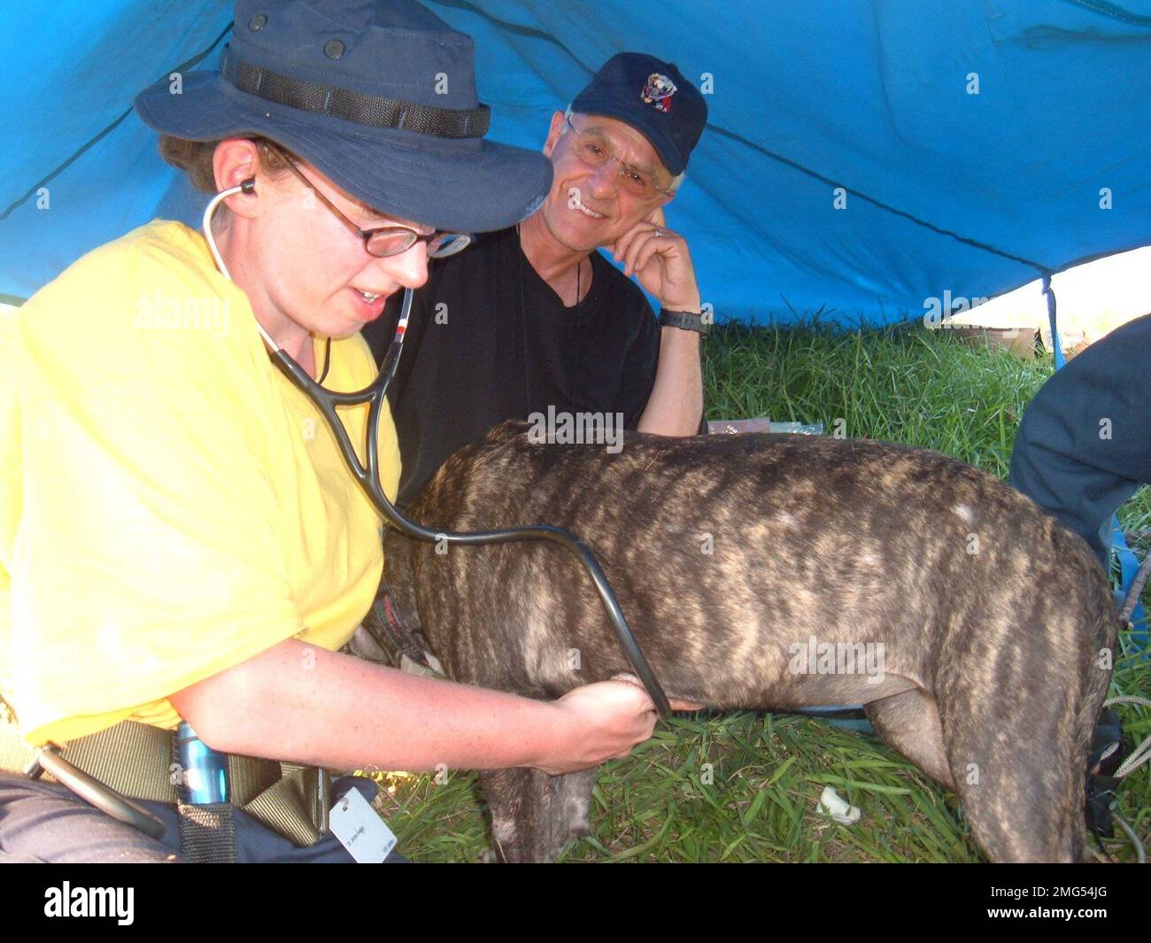 Animal rescue hurricane katrina hi-res stock photography and images - Alamy