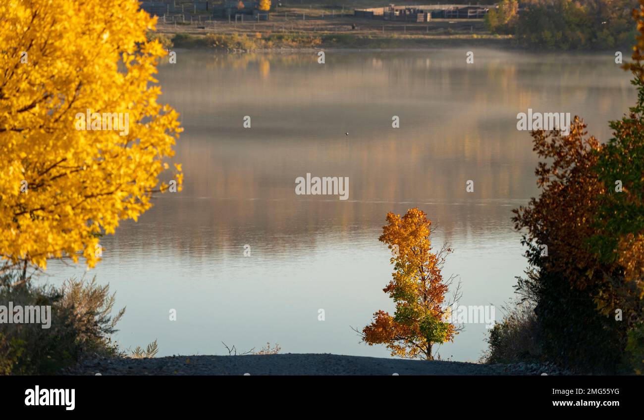 Fall foliage orange colors in the Canadian Prairies Stock Photo - Alamy
