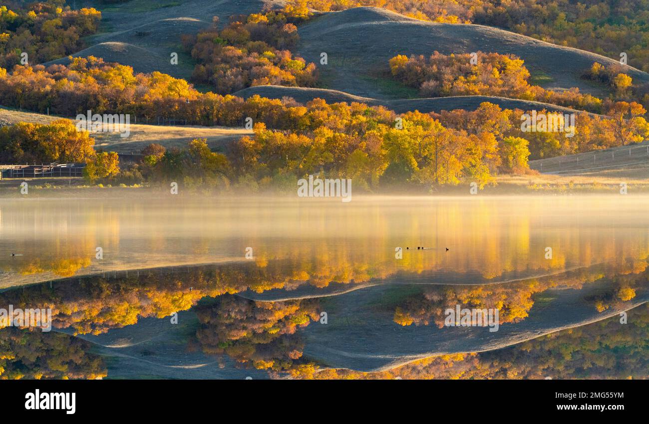 Fall foliage orange colors in the Canadian Prairies Stock Photo - Alamy